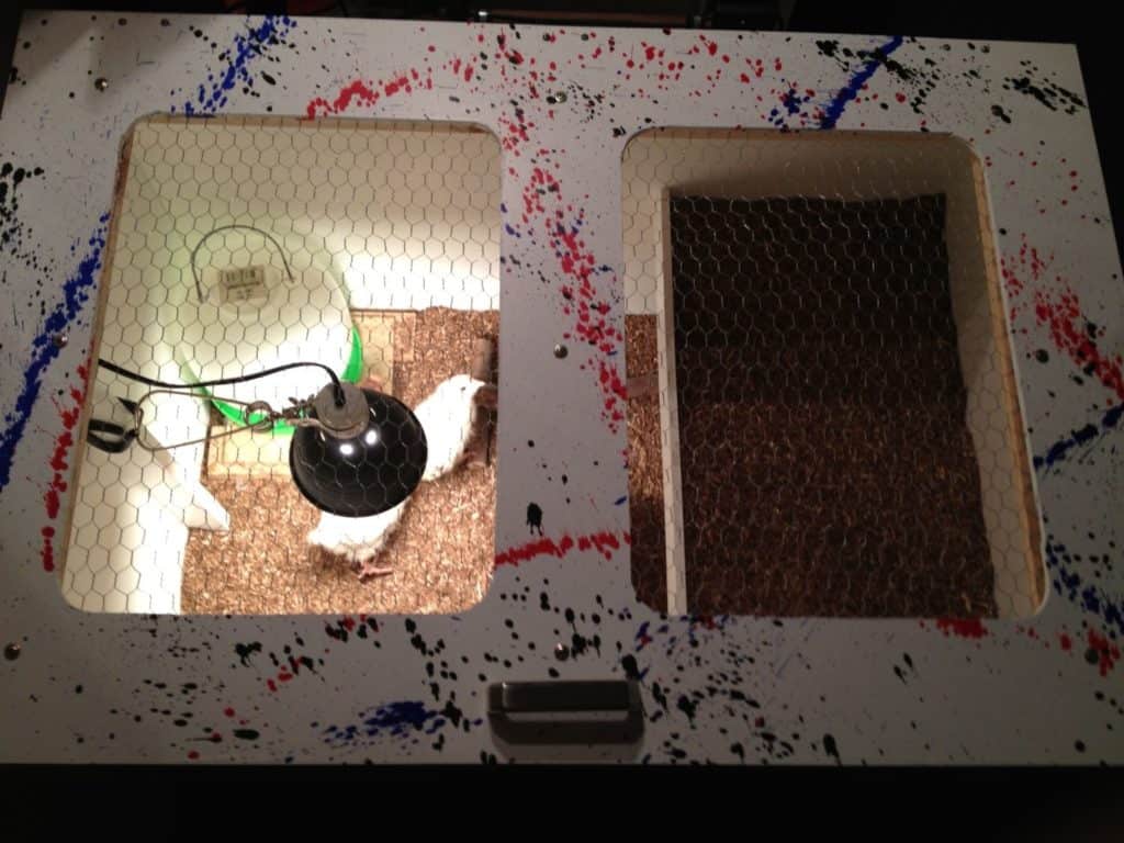 22 Free Chicken Brooder Plans You Can DIY Today