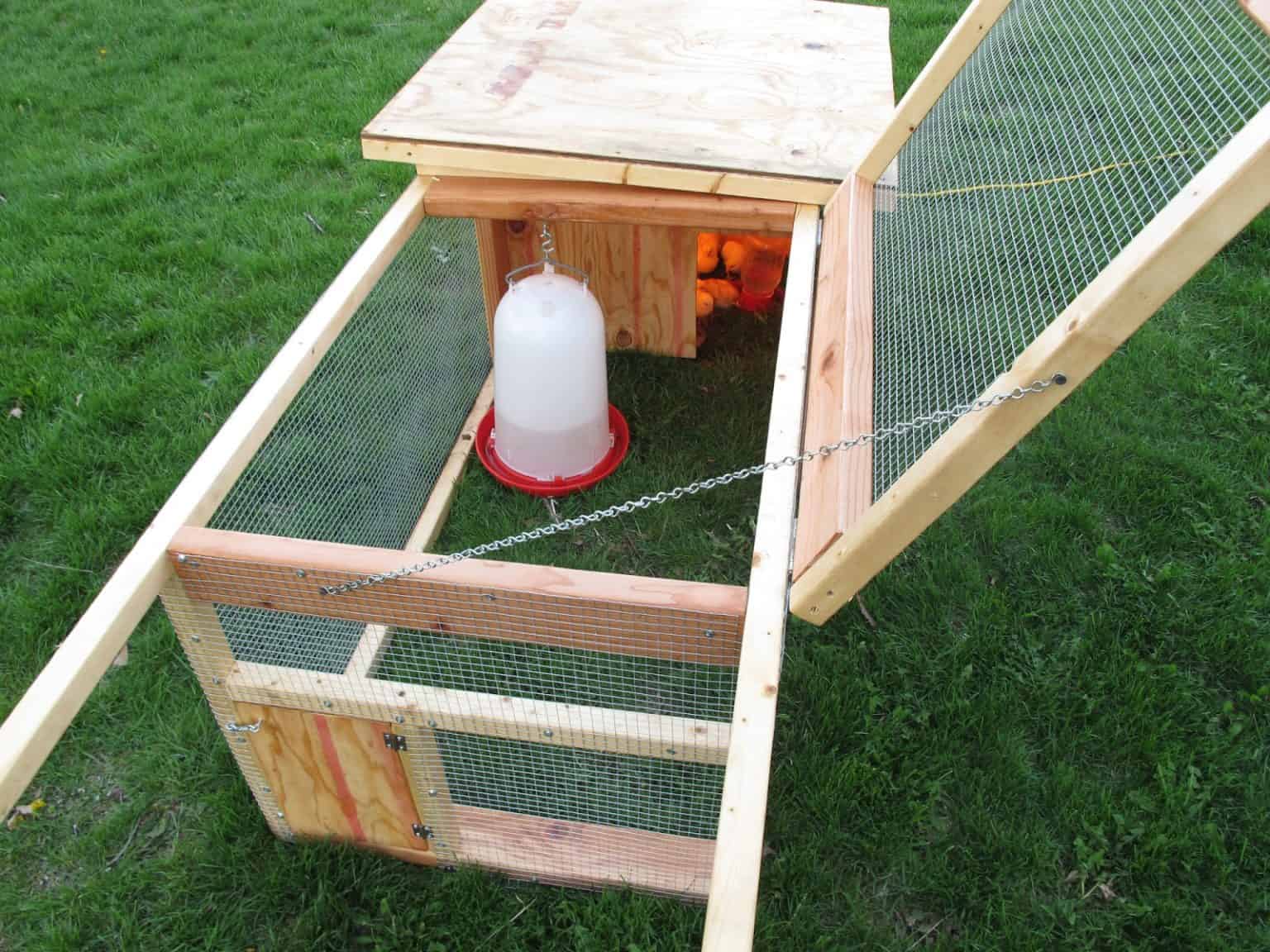 22 Free Chicken Brooder Plans You Can DIY Today