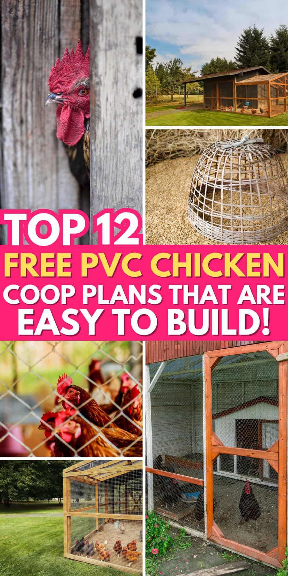 12 Free PVC Chicken Coop Plans That Are Easy to Build