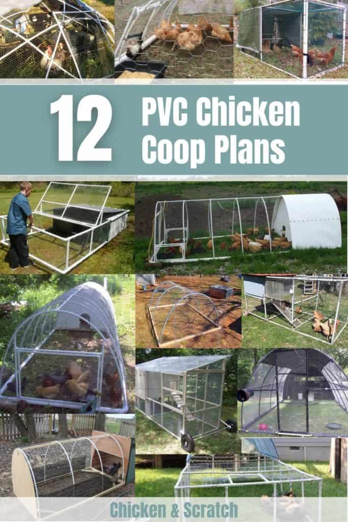 12 Free PVC Chicken Coop Plans That Are Easy to Build