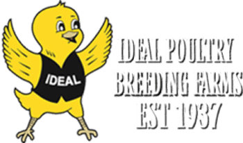 8 Best Chicken Hatcheries in Texas - Review & Guides