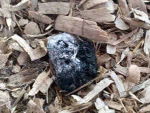 Chicken Poop Guide: What's Normal and What's Not?