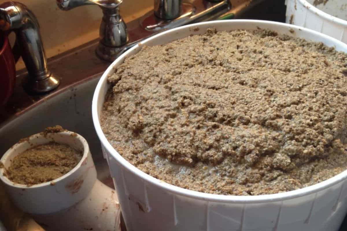 How to Ferment Chicken Feed: A Simple Guide for Healthier Poultry Nutrition