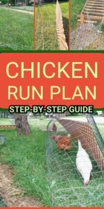 7 Steps to Build a Rotating Chicken Run